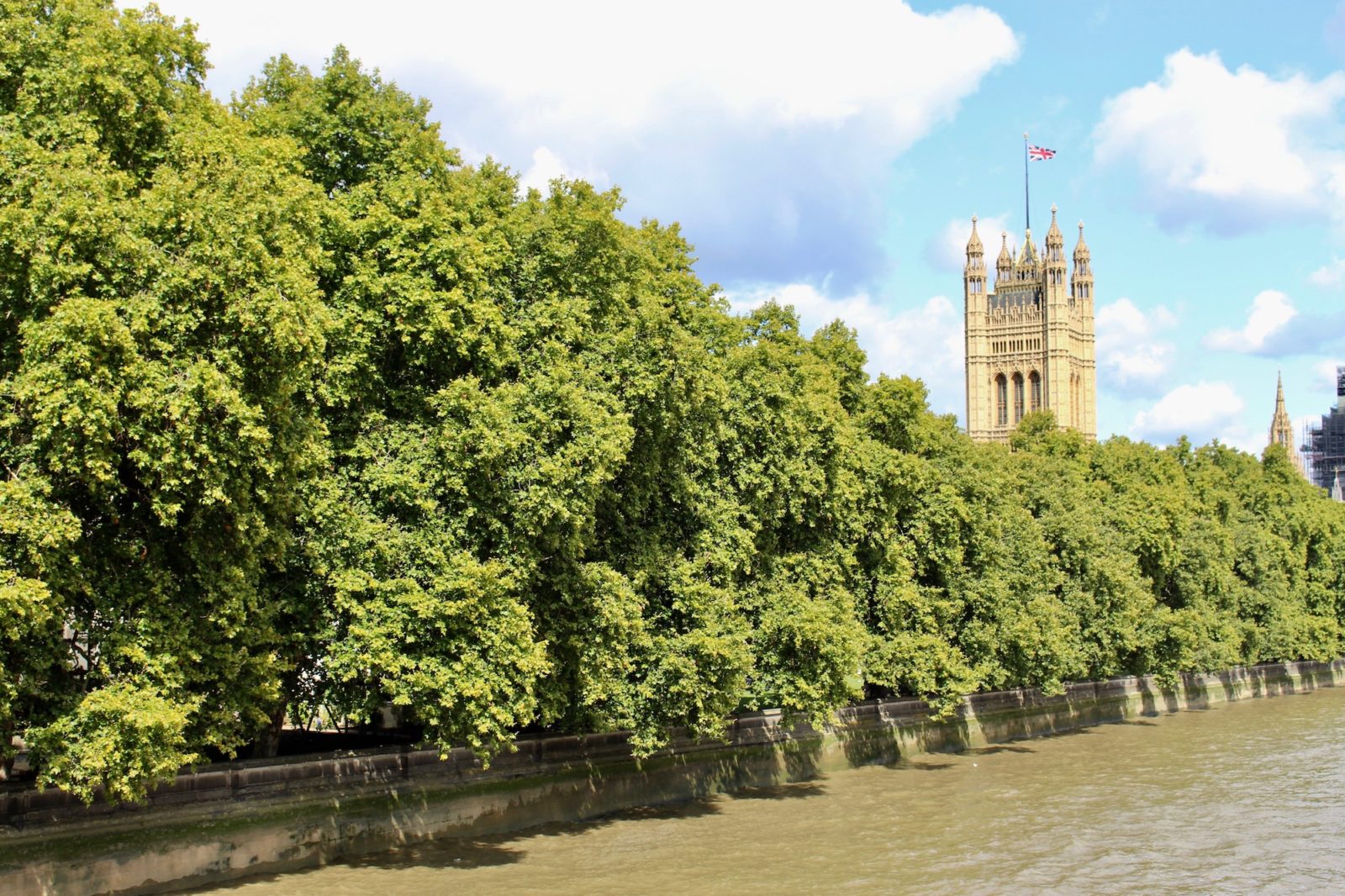 Victoria Tower Gardens – Ebb & Flow