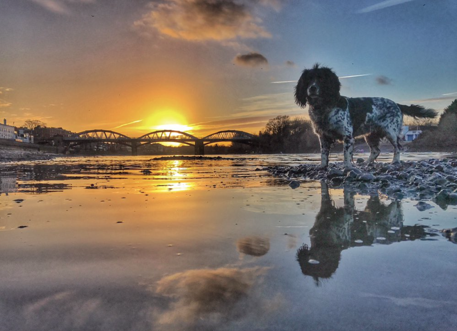 Focus on the Tidal Thames – Ebb & Flow