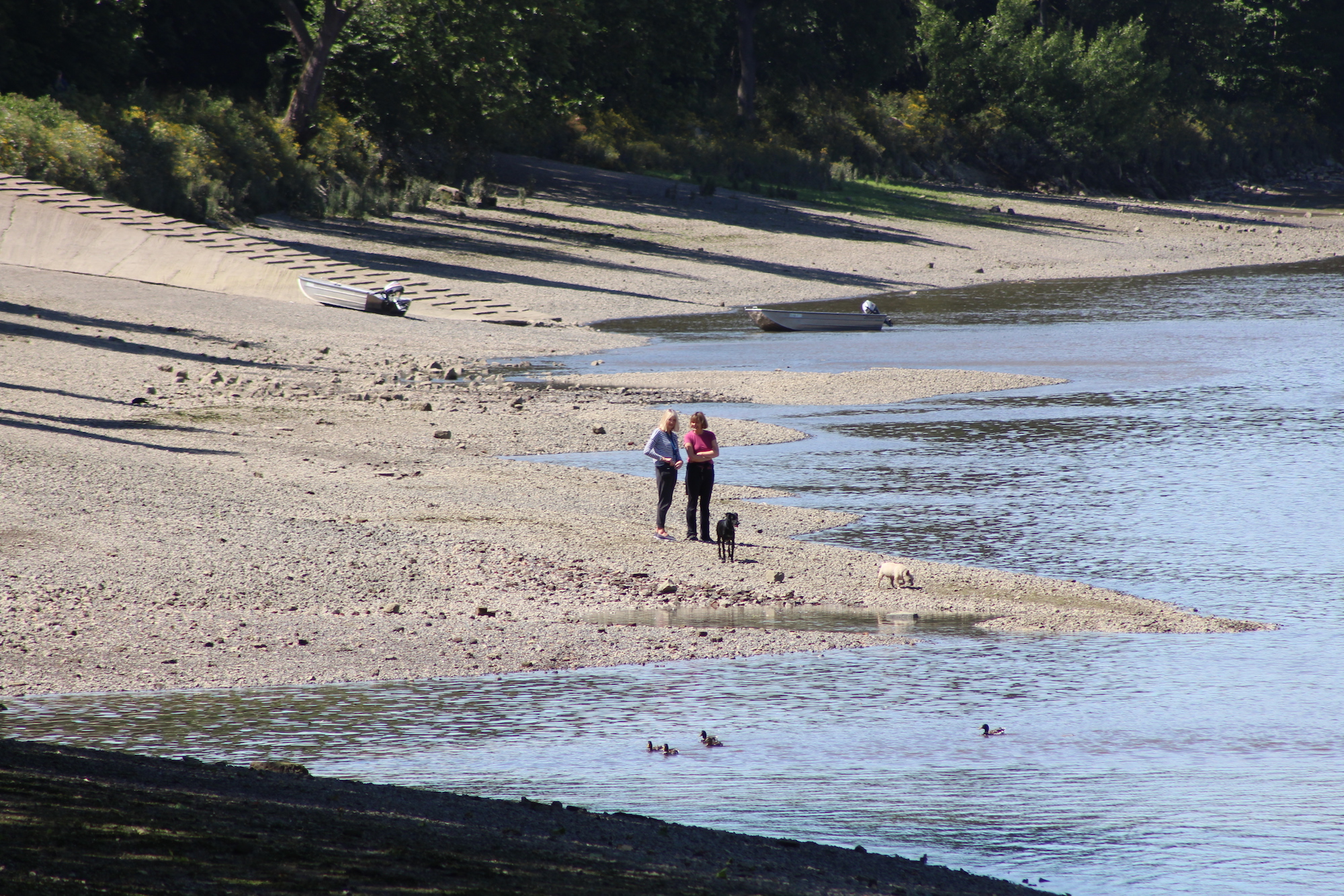 Thames tides – Ebb & Flow