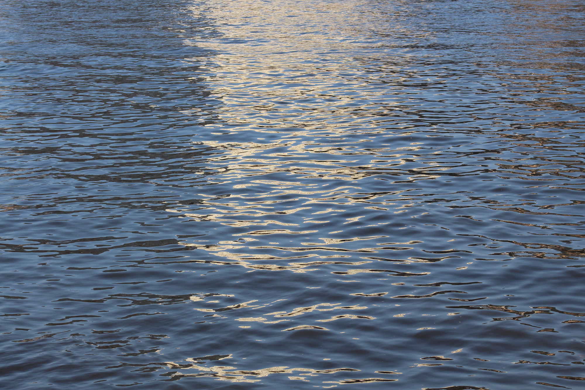 Ever changing waters of the Thames – Ebb & Flow