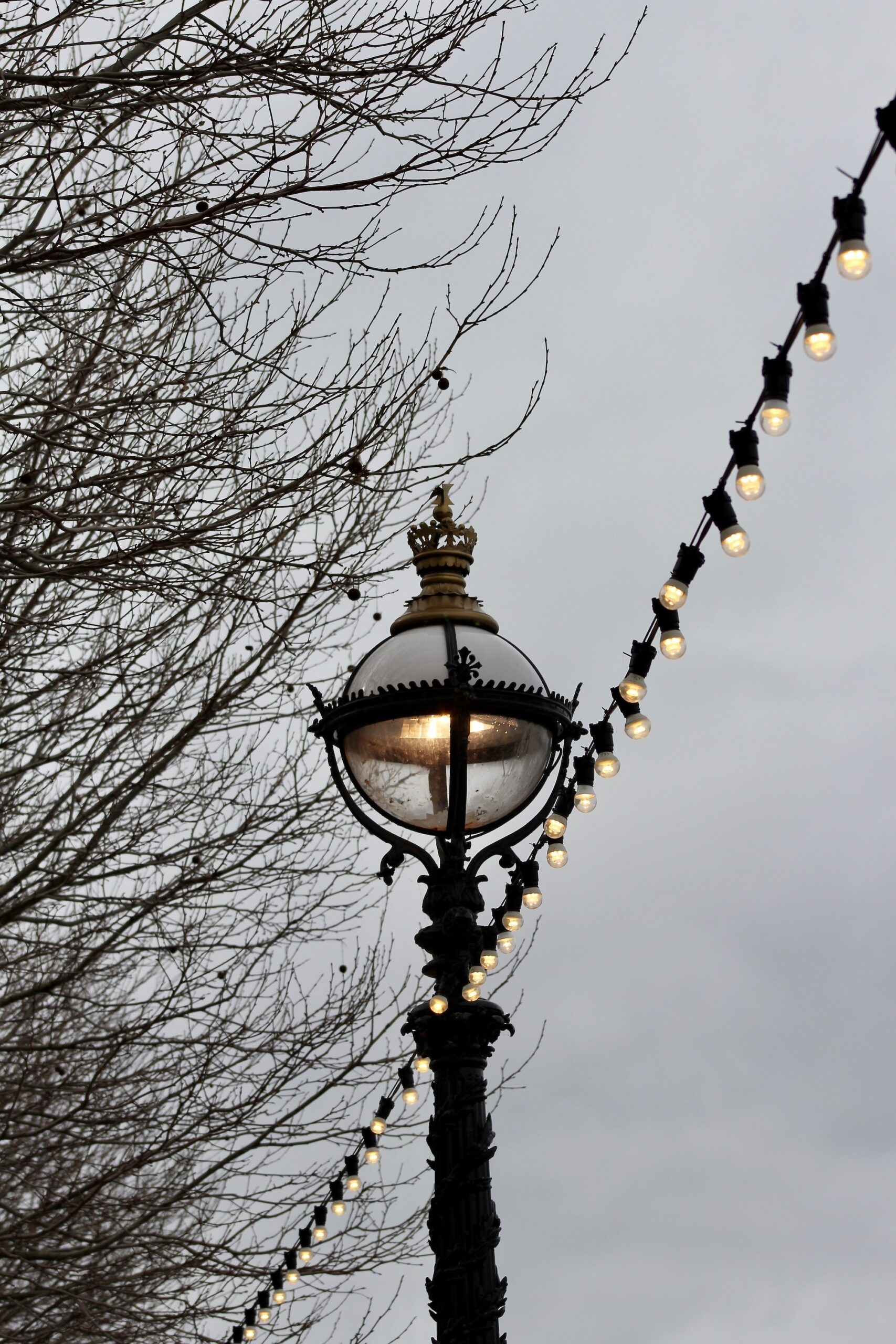 Lamplight… – Ebb & Flow
