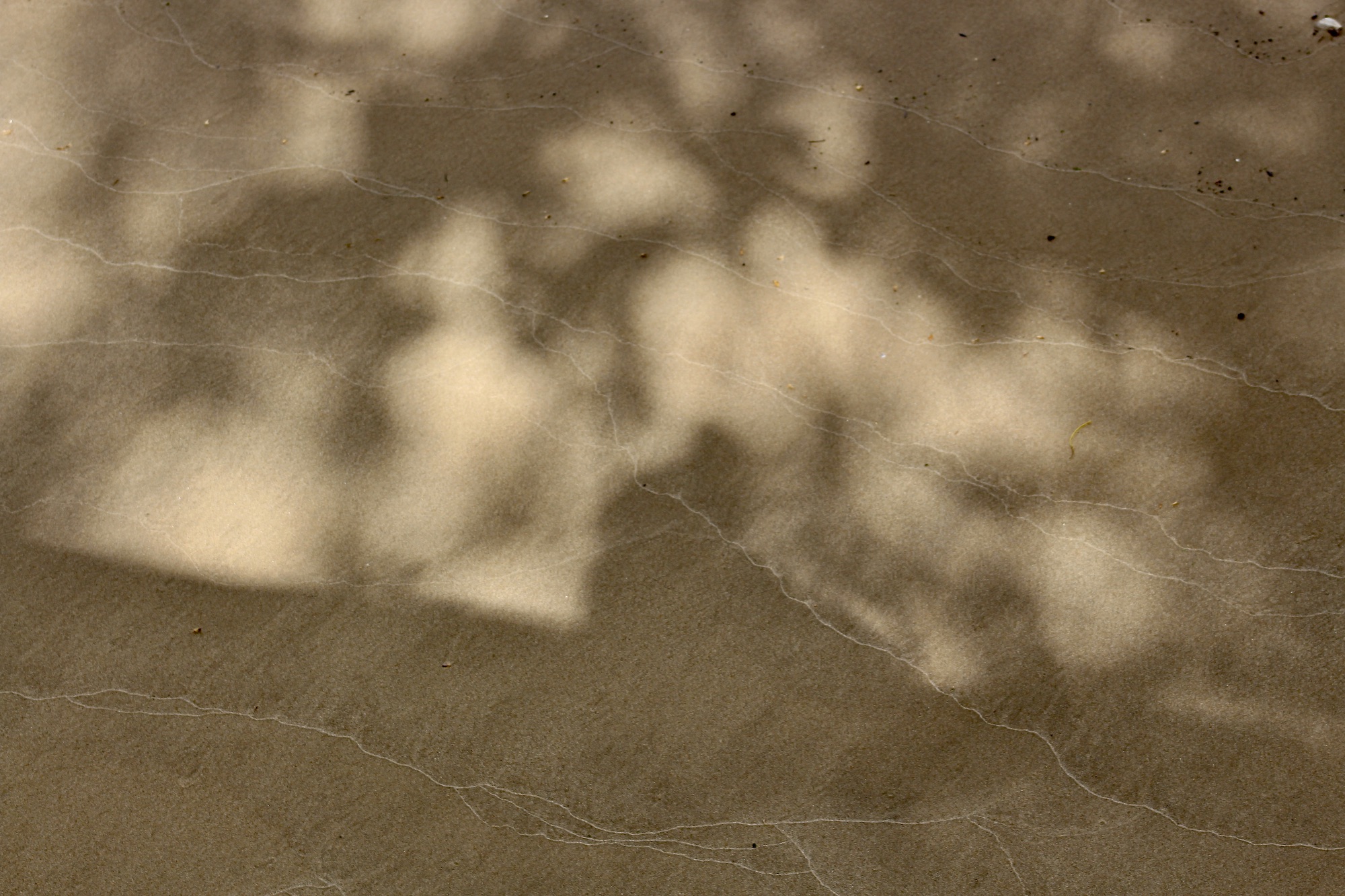 On Shifting Sands – a meditation – Ebb & Flow