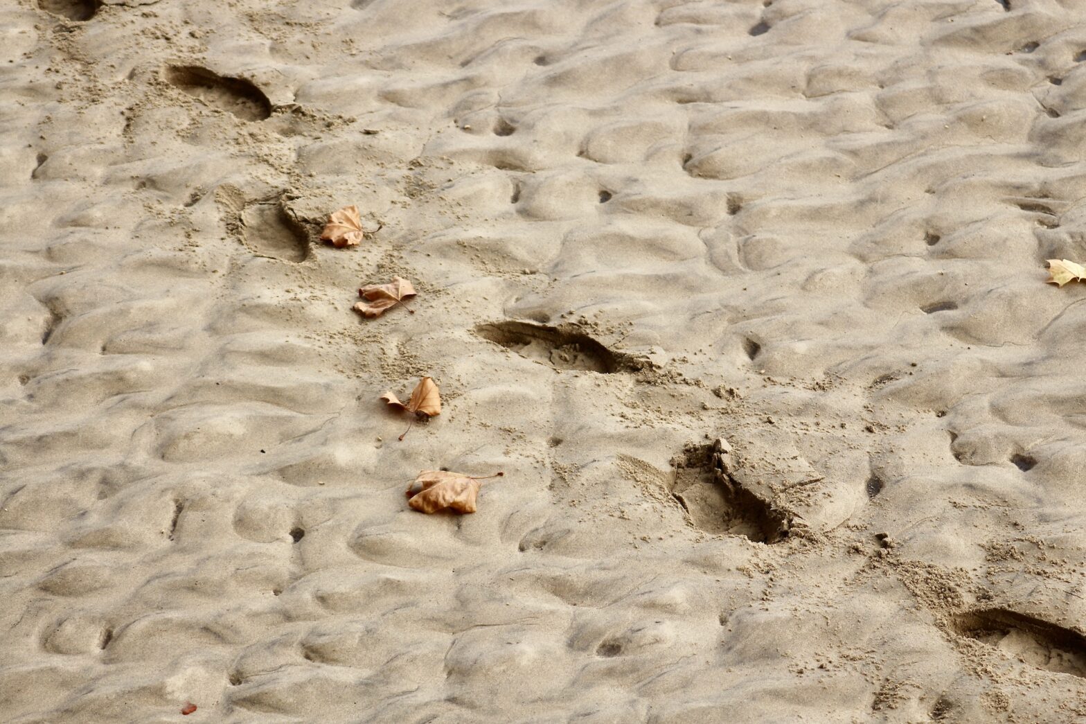 On Shifting Sands – a meditation – Ebb & Flow