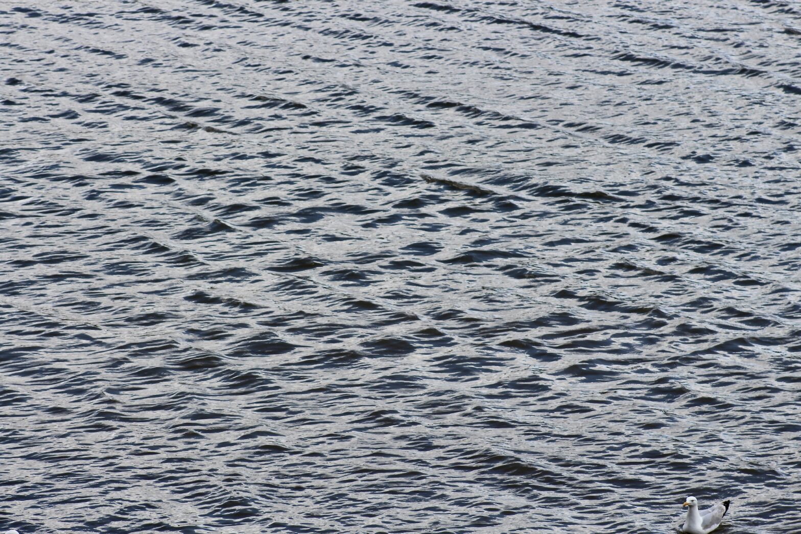 The Materials of Water – Ebb & Flow