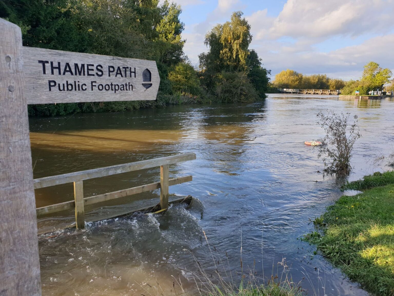Wendy Tobitt: true friend of the Thames – Ebb & Flow