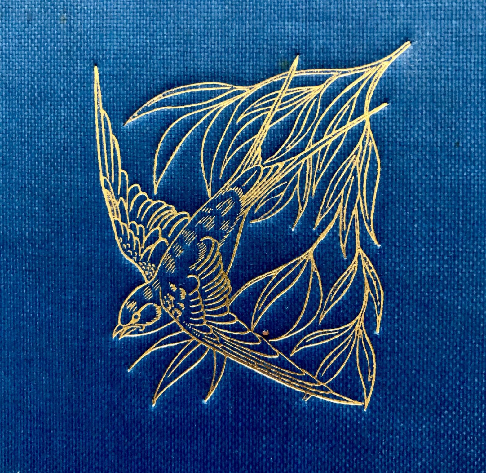 Wings – Ebb & Flow
